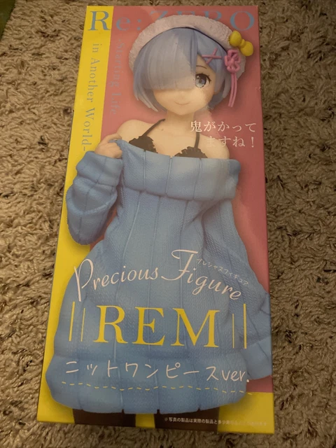 TAITO RE: ZERO -Starting Life in Another World-: Rem Precious Figure ...
