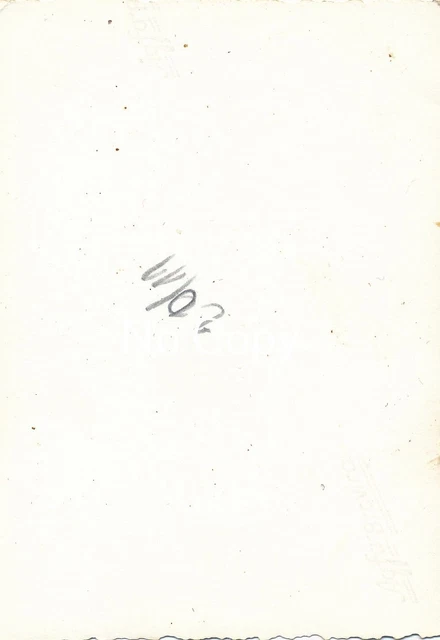 FOTO: WW2 MILITARY – Flugzeug Junkers W 34 an einem Feldflugplatz (X239 ...