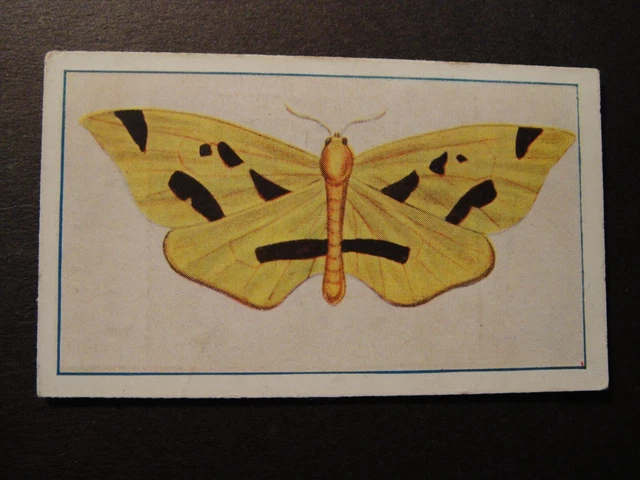 SNIDER & ABRAHAMS Peter Pan Cigarettes Australia Butterflies & Moths ...