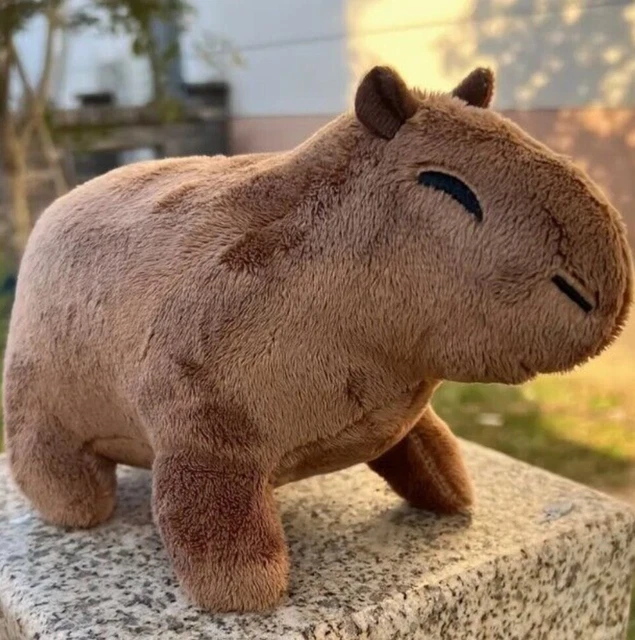CAPYBARA SOFT COSY Plush Teddy Cute Gift 18cm £6.99 - PicClick UK