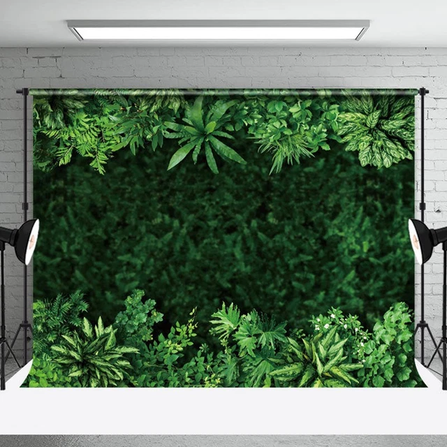 NATURE GREEN PLANT Leaf Spring Photo Booth Backdrop $37.88 - PicClick AU