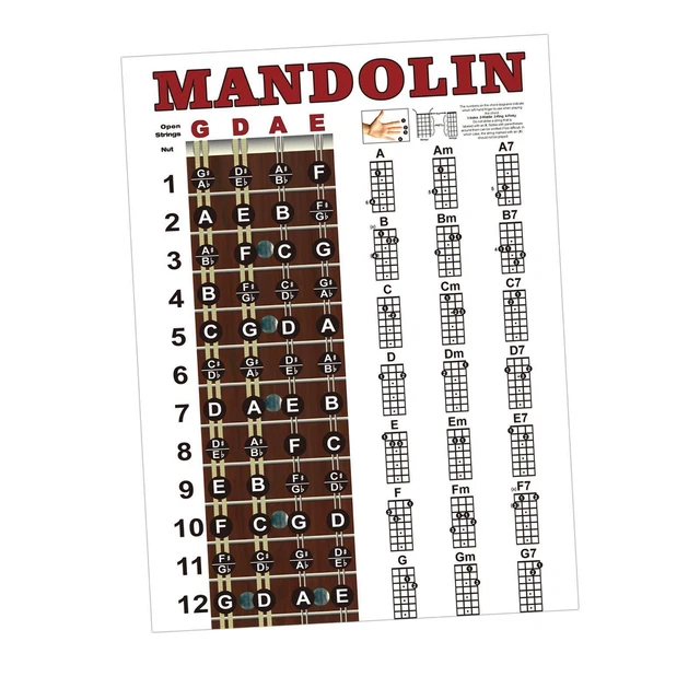 MANDOLIN CHORDS CHART Poster,Reference Guide,22.05''x15.75'' Fingering ...