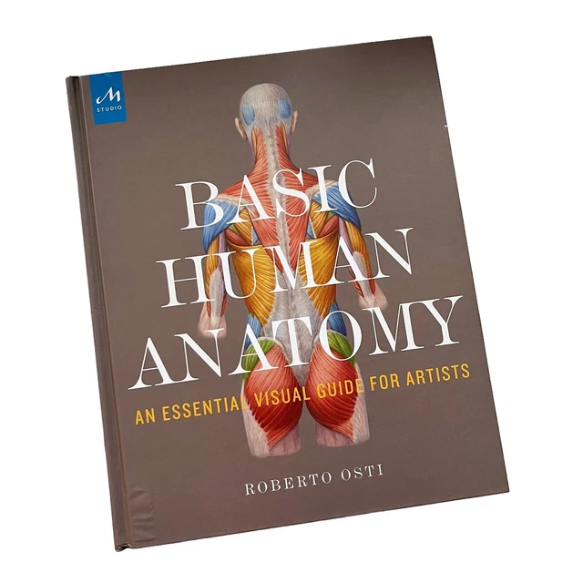 BASIC HUMAN ANATOMY: An Essential Visual Guide for Artists by Roberto ...