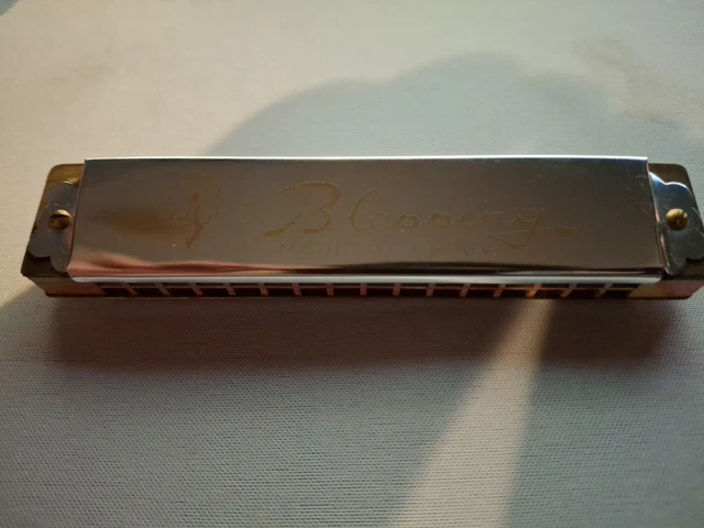VINTAGE HARMONICA BLESSING DHC161 angel fish original box $30.00 ...