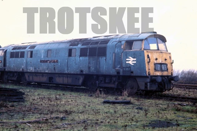 35MM SLIDE BR British Railways Diesel Loco Class 52 D1016 Swinson 1976 ...