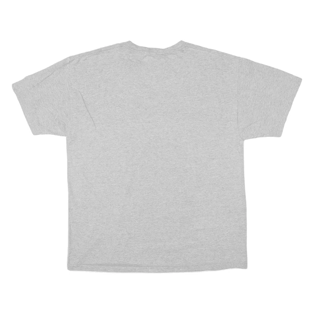 T-SHIRT DA UOMO CHAMPION Millsaps College Lacrosse Mississippi grigia ...