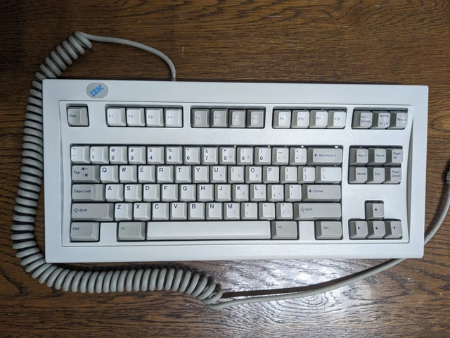 IBM MODEL M Space Saving Keyboard (SSK) buckling springs £299.00 - PicClick UK