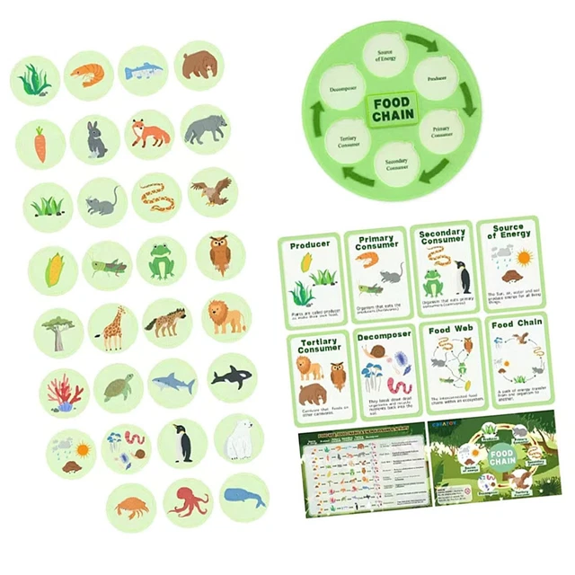 FOOD CHAIN ANIMAL Matching Game Life Cycle Kit for Kids Classroom ...