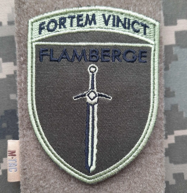UKRAINIAN ARMY PATCH 120th Reconnaissance Battalion Intelligence ...