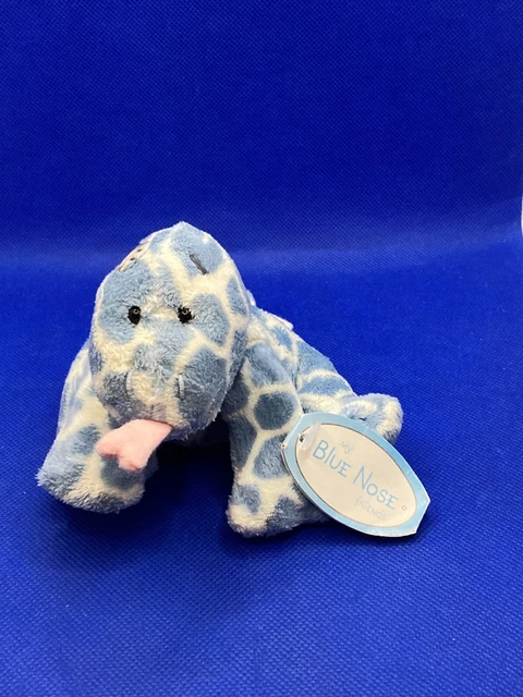 MY BLUE NOSE Friends 4ins Plush Toy- Gossip the Lizzard - No. 75 - With ...