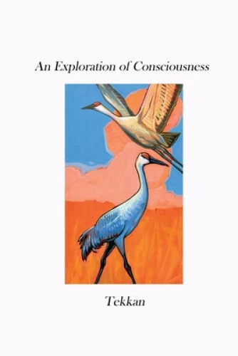AN EXPLORATION OF Consciousness V by Tekkan $127.24 - PicClick AU