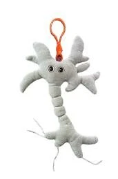 NEURON KEYCHAIN - Giantmicrobes £10.26 - PicClick UK