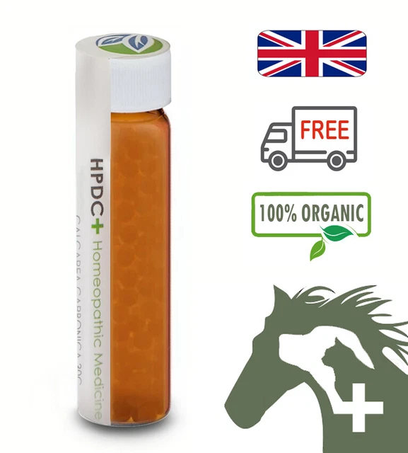 APIS MELLIFICA 1M ORGANIC PET Homeopathic remedy dog cat £1.99 ...