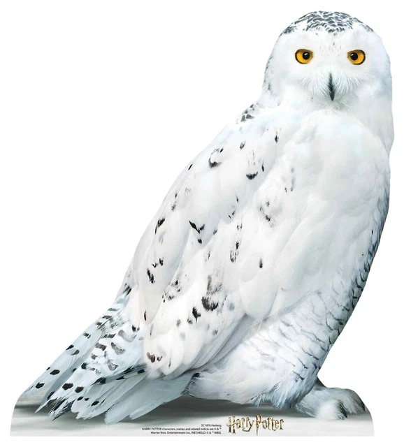 HEDWIG OFFICIEL HARRY Potter Carton Découpe/Debout/Voyageur Debout ...