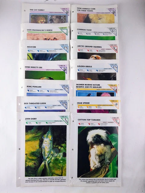 WILDLIFE FACT FILE 14 Sealed Packs 168 Cards Total New Packets Lot 90s ...