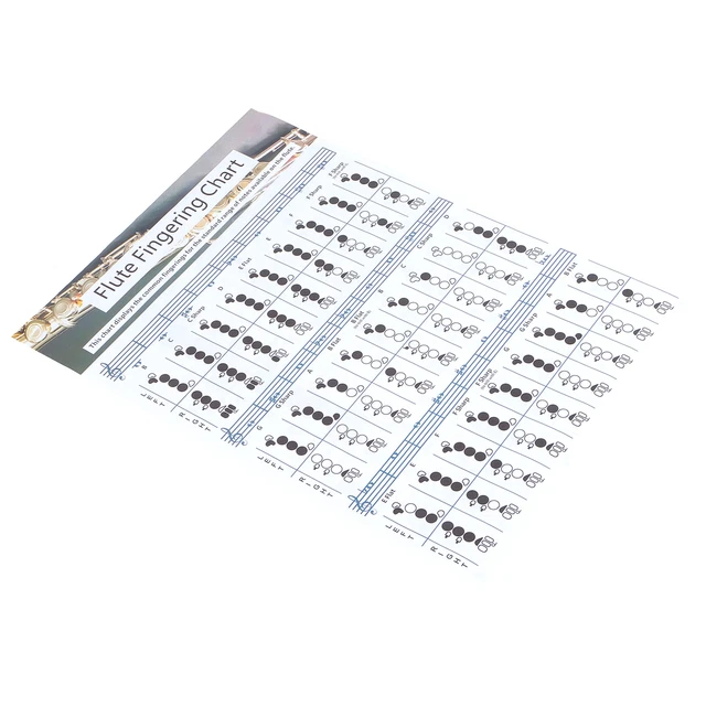 Flute Fingering Chord Chart Beginner Practice Aids Instrument Acces 28x21cm S £670 Picclick Uk