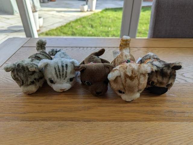 THE CAT ARTIST Collection - Bundle of 5 (2) £12.00 - PicClick UK