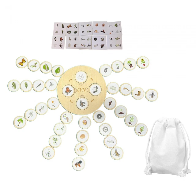LIFE CYCLE TRAY Animal Figures Matching Game Fine Motor Skill Life ...
