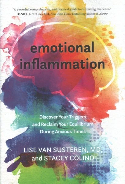 EMOTIONAL INFLAMMATION : Discover Your Triggers and Reclaim Your ...