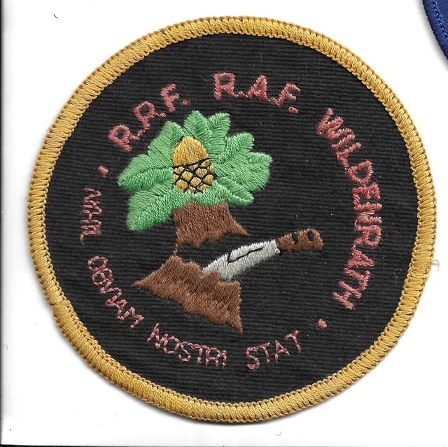 RAF PATCH 1 Moblie Field Photographic Unit Royal Air Force Squadron ...