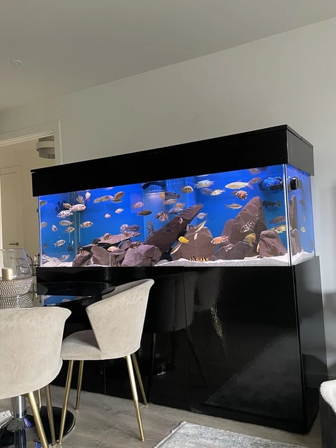 6FT X 2FT x 2ft Fish Tank With Sump Filter And Stand £27.00 - PicClick UK