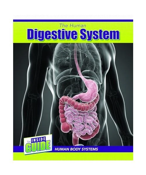 THE HUMAN DIGESTIVE System (Inside Guide: Human Body Systems), Lawton ...