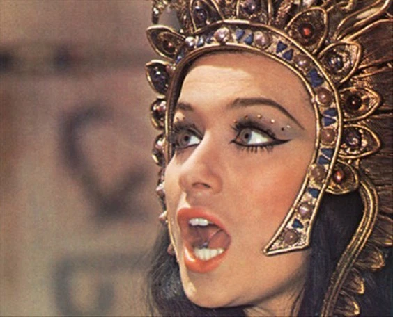 VALERIE LEON 8X10 Photo EUR 7,09 - PicClick FR