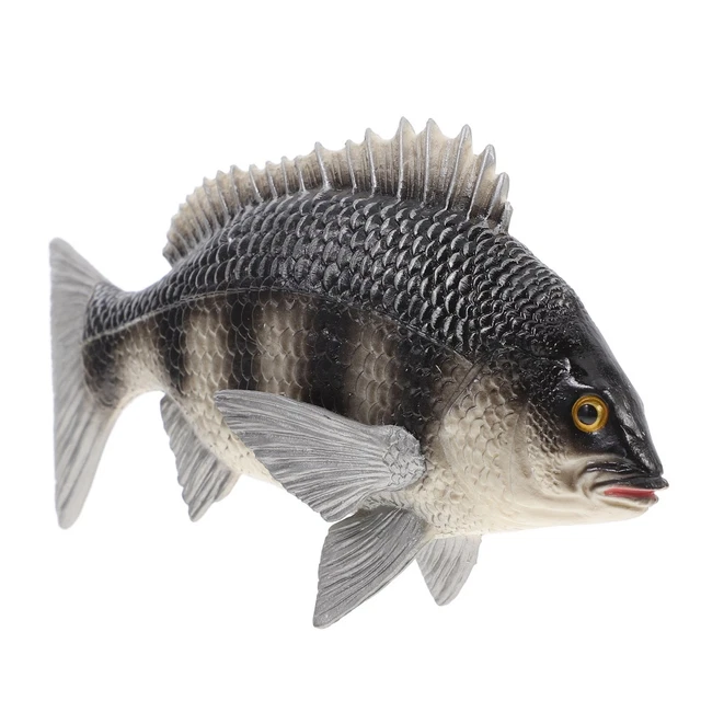 MARINE ANIMAL MODEL Realistic Fish Toy Plastic Simulation for Children ...