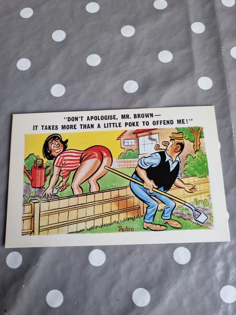 VINTAGE SAUCY SEASIDE Comic Postcard Sunny Pedro Series No 141 By Pedro ...