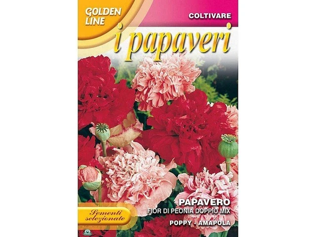 SEMENCES DE PAVOT Fior Pivoine Double Mélanger Orto Jardin Graines ...