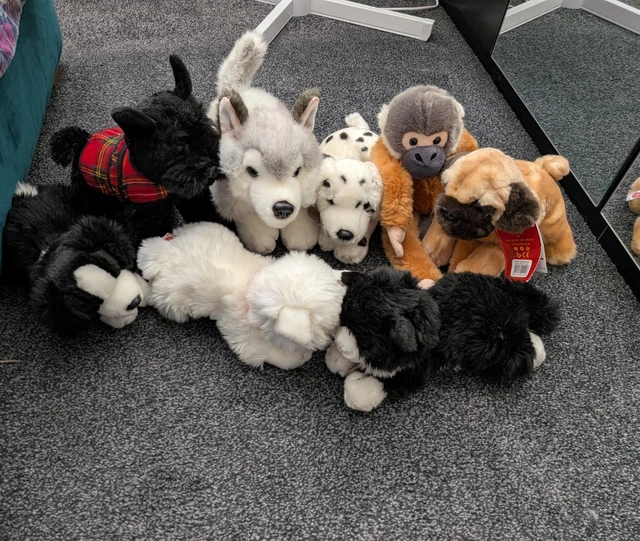 KEEL TOYS ASSORTED Dog Plush Soft Toy Bundle, Washable, Small 15-35cm ...