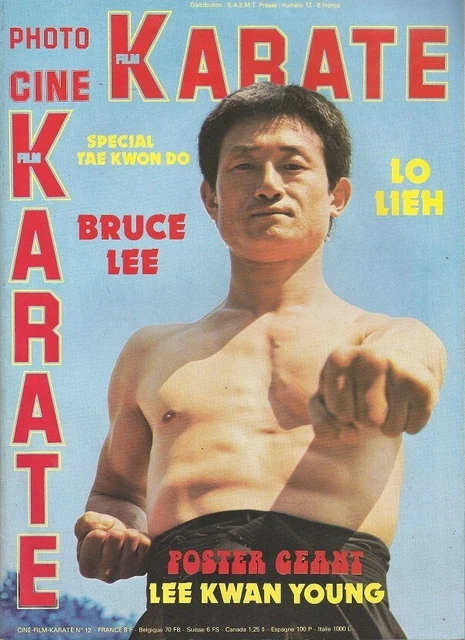 KARATE 12 POSTER Geant Lee Kwan Young Chuck Norris Bd Bruce Lee Tae Kwon Do EUR 19,90 - PicClick FR