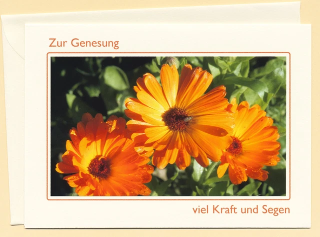 KARTE GUTE BESSERUNG Wünsche GENESUNG Gesundheit Krankheit ...