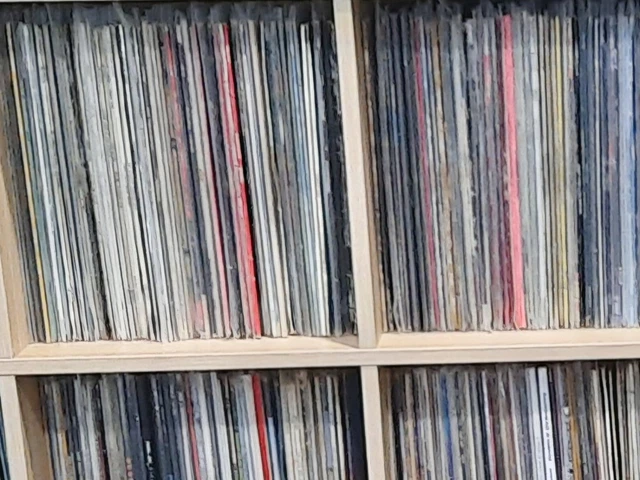 LARGE 12& Vinyl Record Collection Choose From Large Selection $12.00 ...