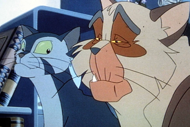 FELIDAE - MICHAEL Schaack - Mario Adorf - 12 Dias - 5x5cm gerahmt (3043 ...