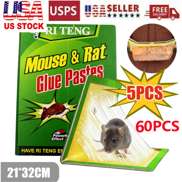 5~60PCS LARGE MICE Mouse Glue Traps Rodent Catcher Rat Board Indoor ...
