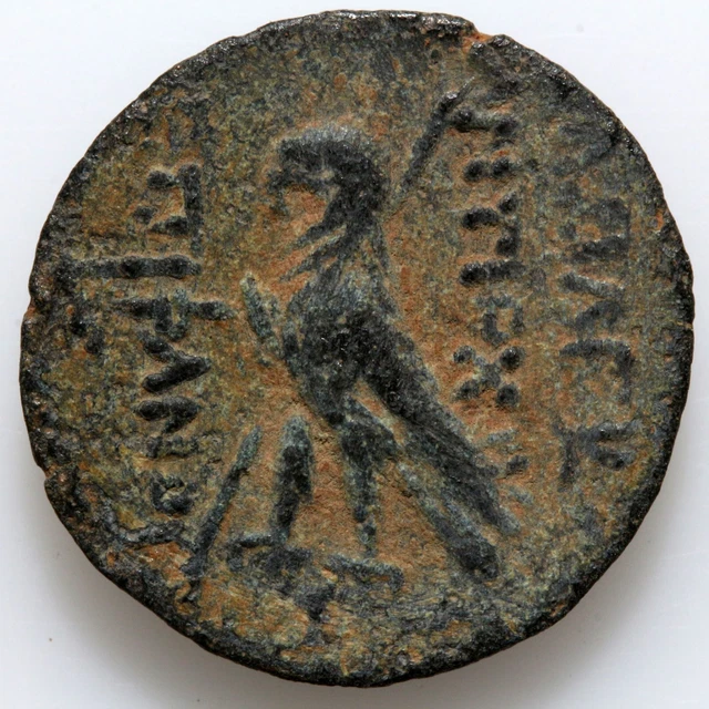 ANCIENT GREEK COIN AE Seleukid Kingdom-Antiochos VIII Epiphanes-Circa ...