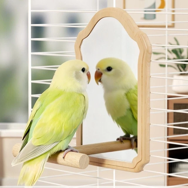 DETACHABLE BIRD MIRROR Perch Wear-Resisting Interactive Bird Toy Bird ...