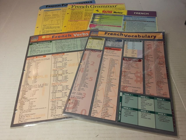 FRENCH GRAMMAR, VERBS, Vocabulary (Quickstudy: Academic) BarCharts Exam ...