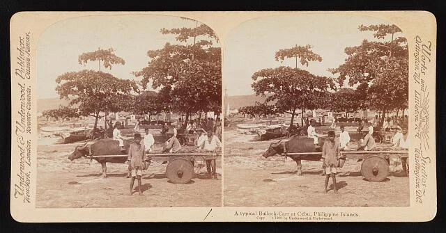 PHILIPPINES A TYPICAL bullock-cart at Cebu, Philippine Islands Old ...