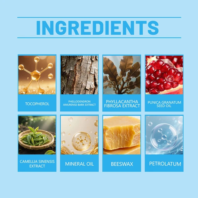 LANISKA BODY PLASTER Care Patch A Pack Of 30 Metabolic Balancing Patch ...