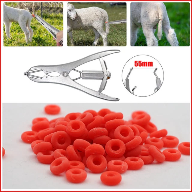 MARKING RINGS APPLICATOR PLIER 100 RUBBER Rings Castration Tail Banding ...
