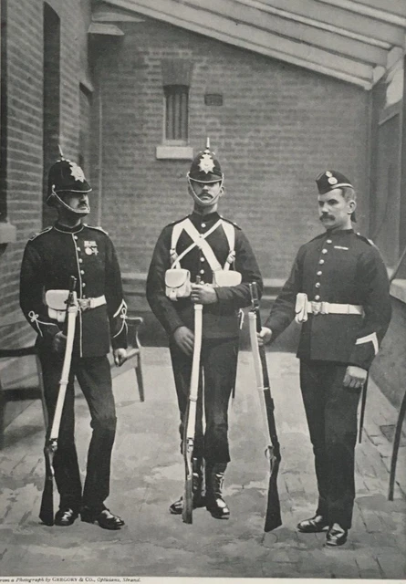 ROYAL MARINE LIGHT Infantry The British Army - Antique Print 1893 £22. ...