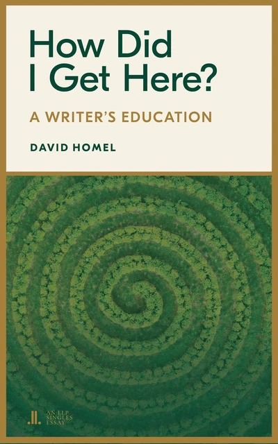 DAVID HOMEL HOW Did I Get Here? (Poche) EUR 20,38 - PicClick FR