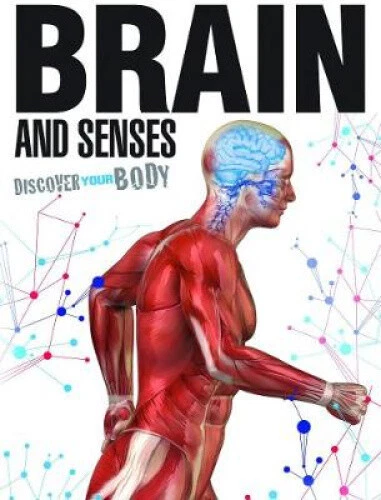DISCOVER YOUR BODY: Brain and Senses (Discover Your Body) by Jen Green ...