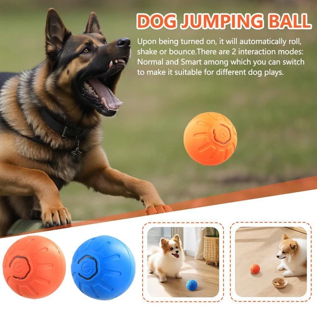 AUTOMATIC JUMPING BALL Pet Dog Interactive Training Toy ToDE Ball Z3Q1 ...