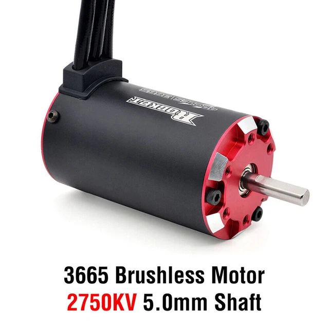ROCKET 3665 2750KV Brushless Motor fr 1/8 1/10 Tamiya GTR RC Racing Off ...