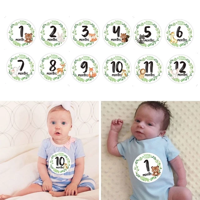 BABY MEMORIAL MONTH Stickers Monthly Record Cartoon Animal Floral Print ...