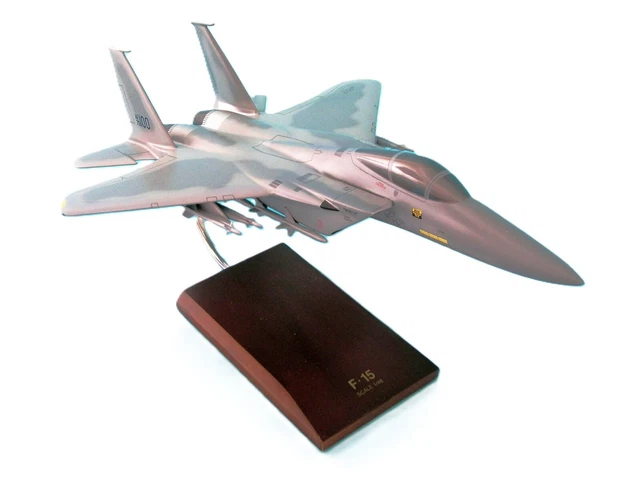 USAF MCDONNELL DOUGLAS F-15A Strike Eagle Desk Display 1/48 Model XX ...
