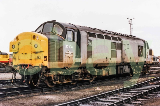 UK DIESEL TRAIN Railway Photograph Of Class 37 Loco 37104. Rm37-386 £1. ...